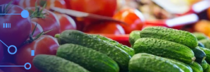 USE A SAZONALIDADE DOS ALIMENTOS A SEU FAVOR - Genialnet